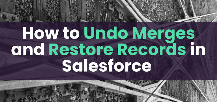 How to Undo Merges and Restore Records in Salesforce - Cloudingo