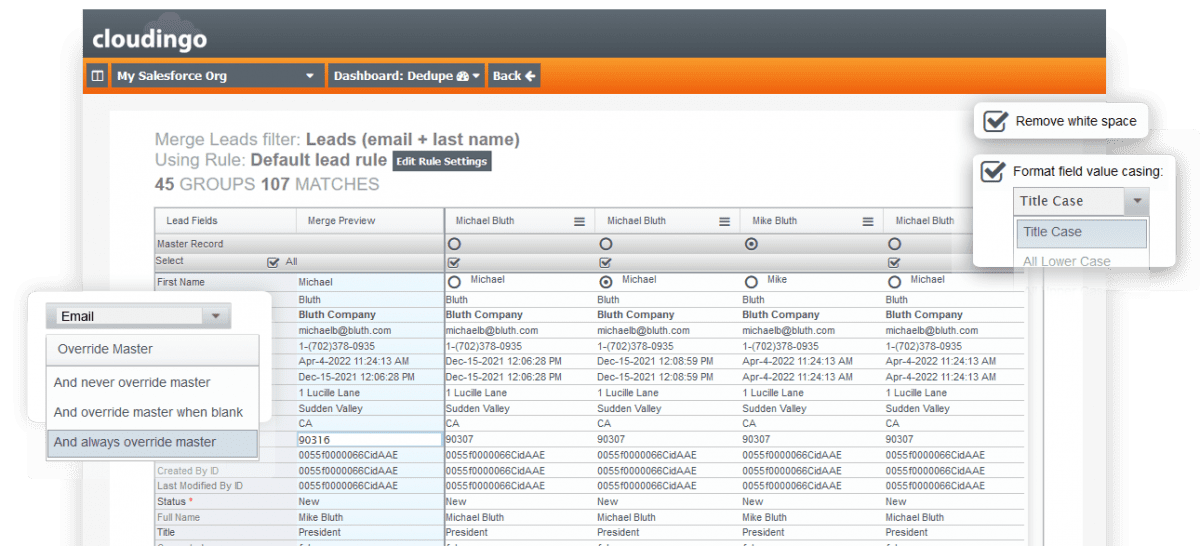 Cloudingo - Salesforce Data Cleansing and Management Tool