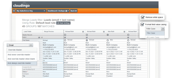 Cloudingo - Salesforce Data Cleansing and Management Tool